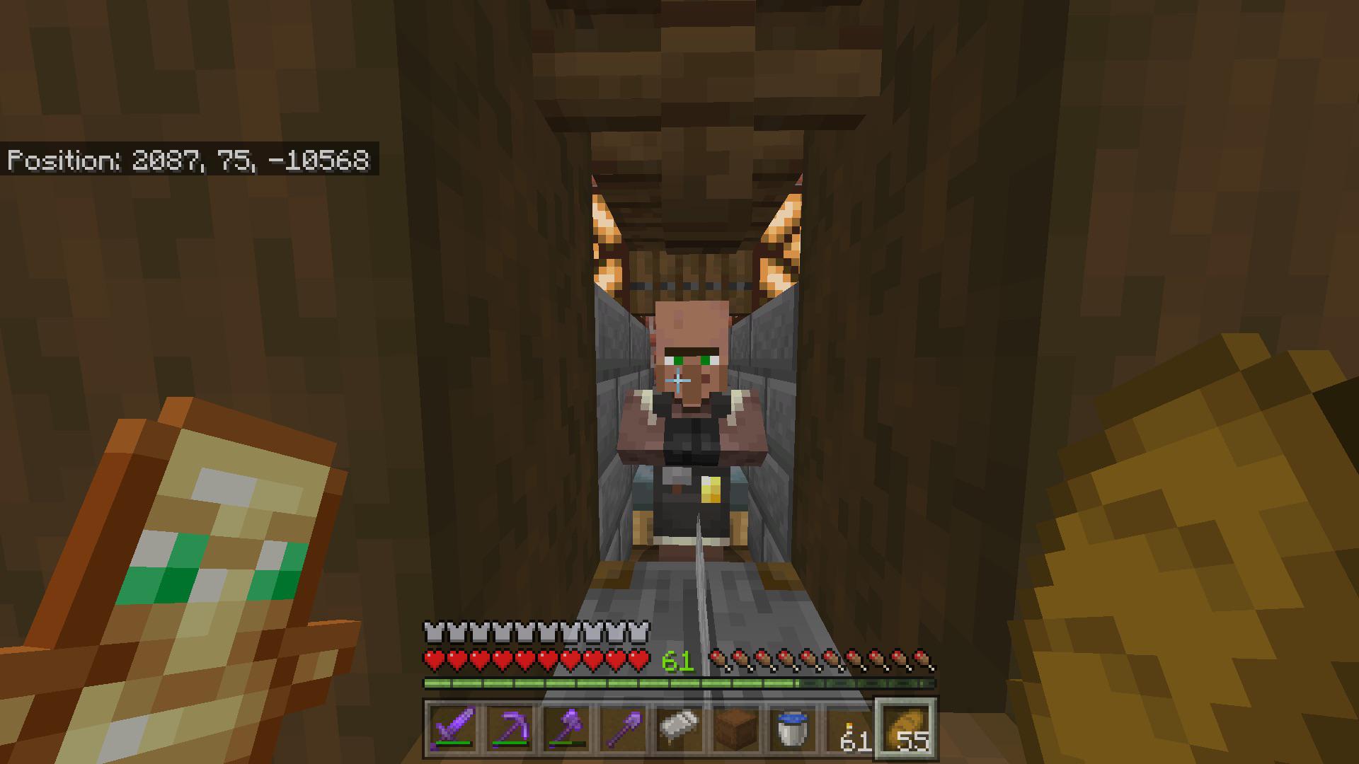 Why won’t my villagers restock? (Bedrock) | Scrolller