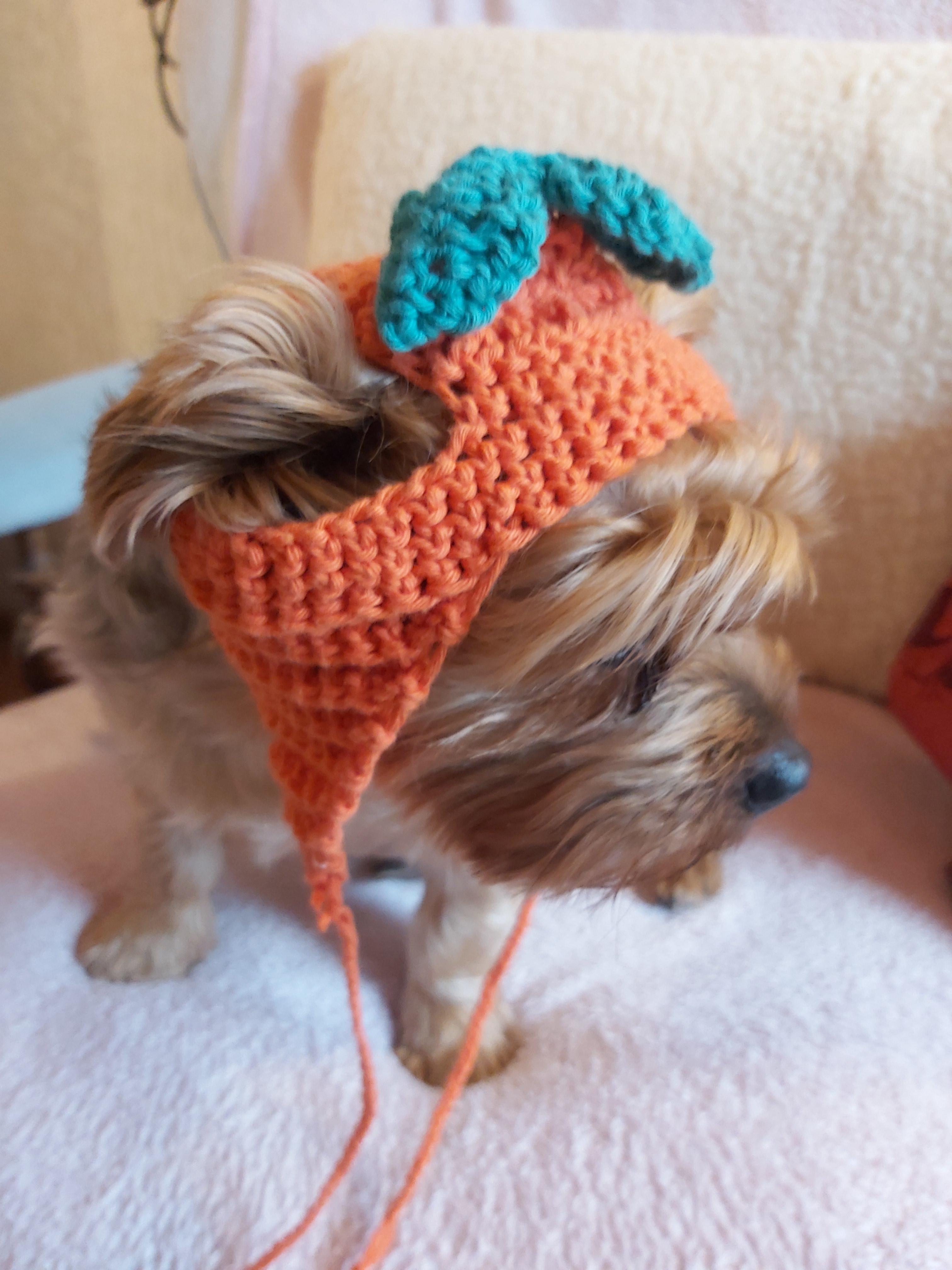 Past projects while im in timeout | Scrolller