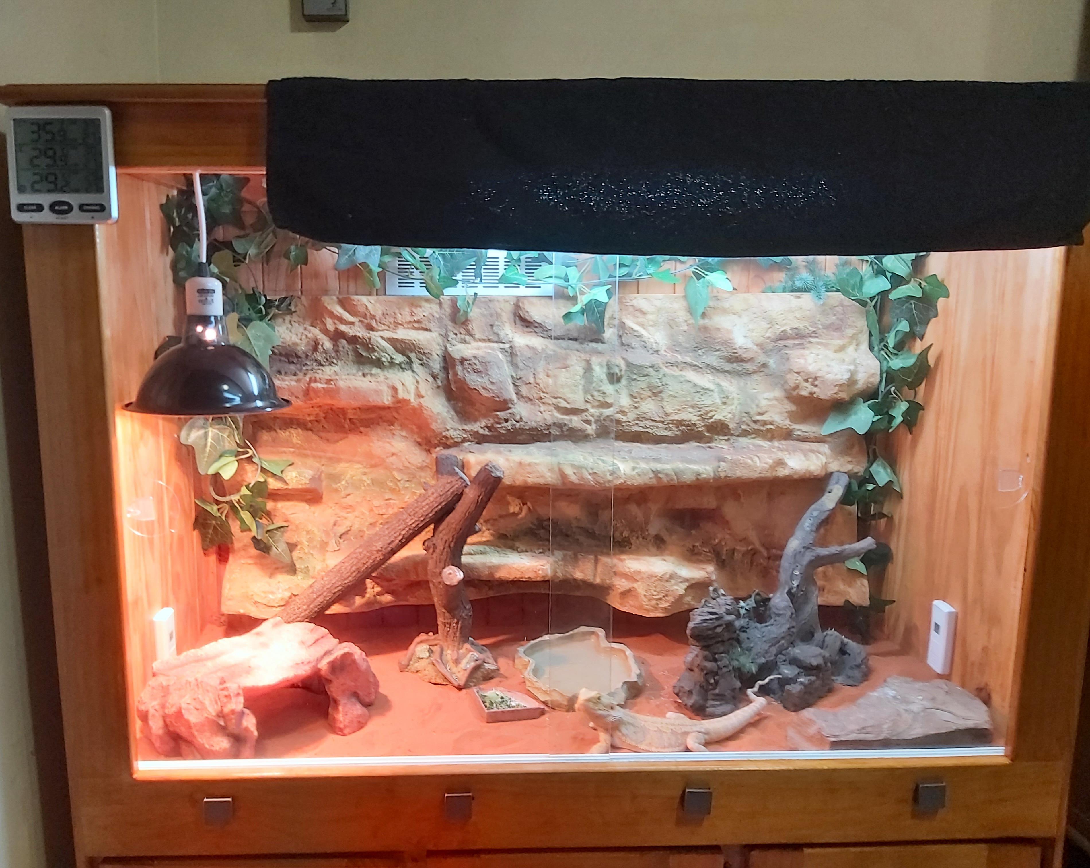 How does my boys enclosure look? | Scrolller