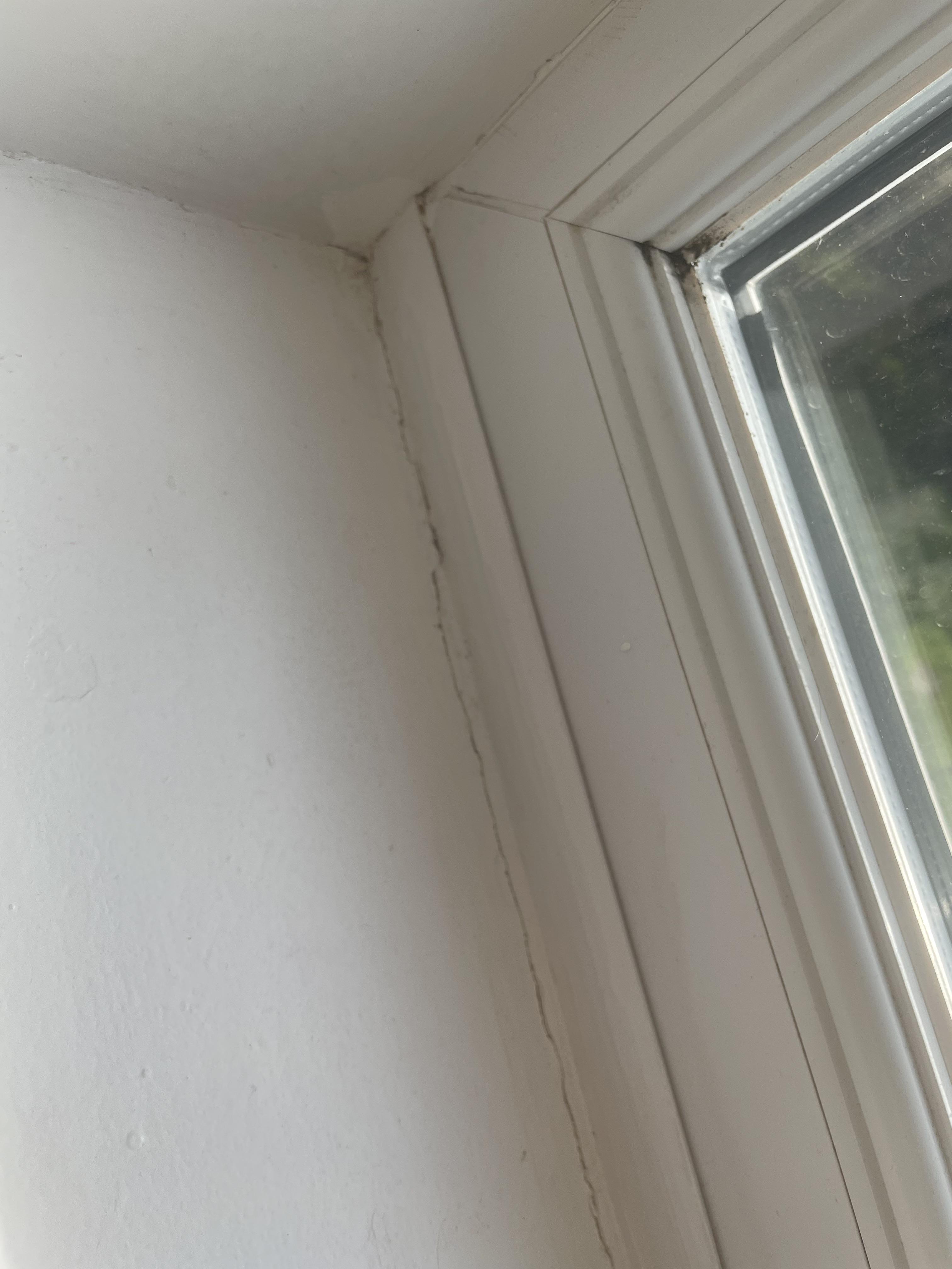 Cracks reappearing after being filled, then continue into the window ...