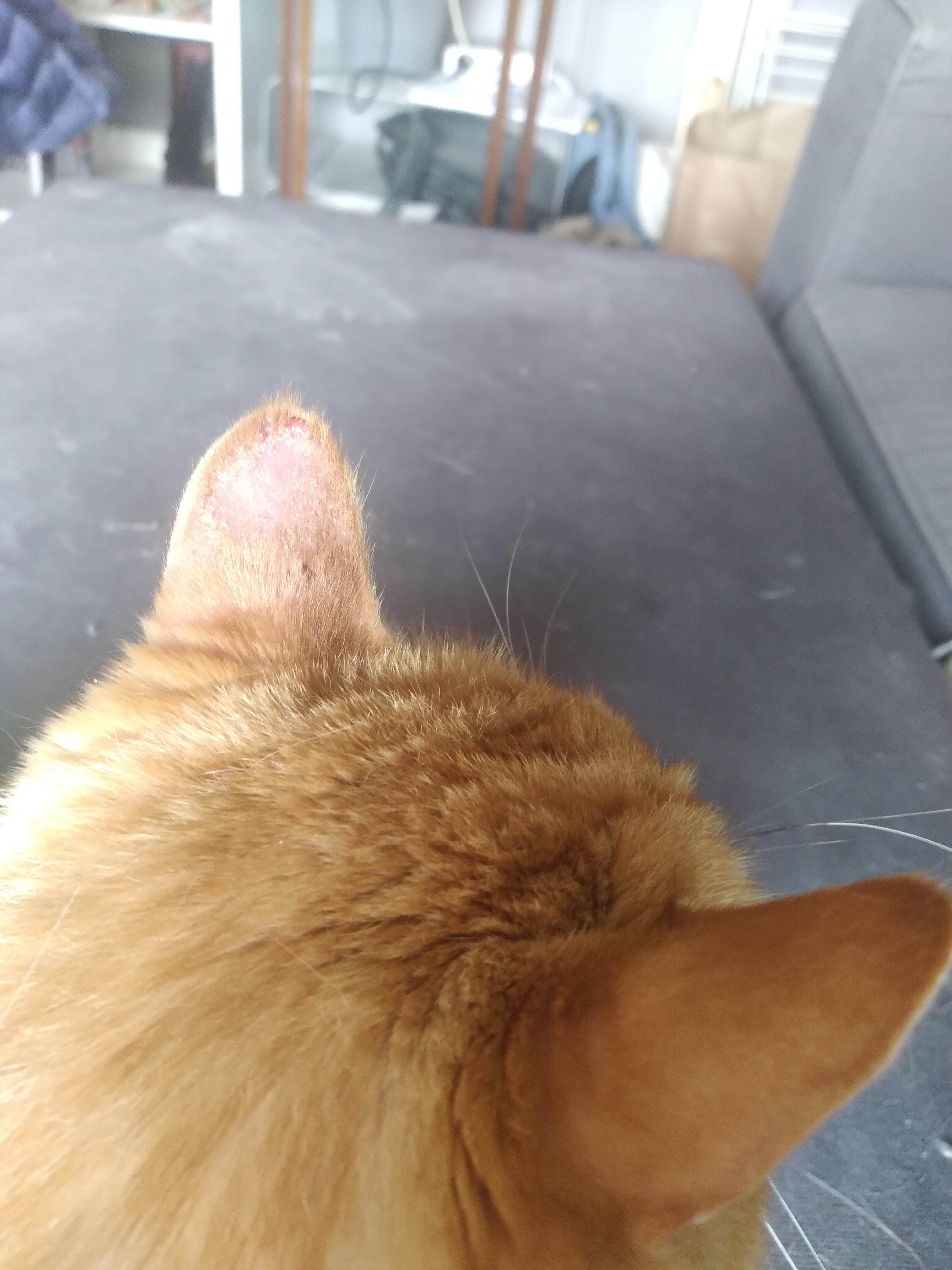 Skin issue | Scrolller