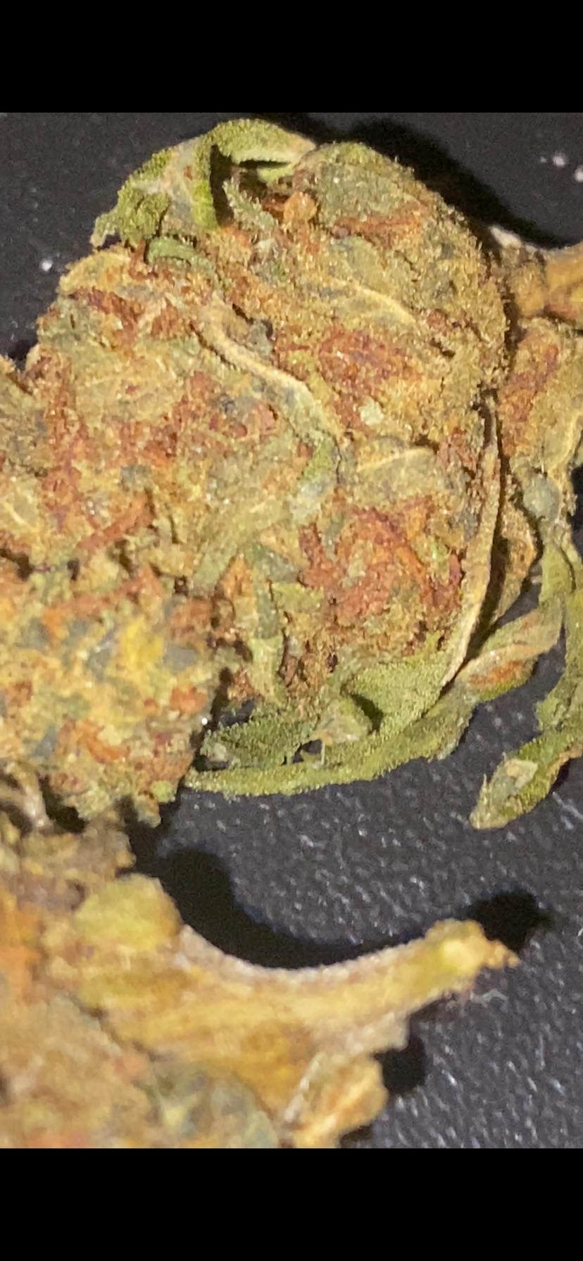 My babies | Scrolller