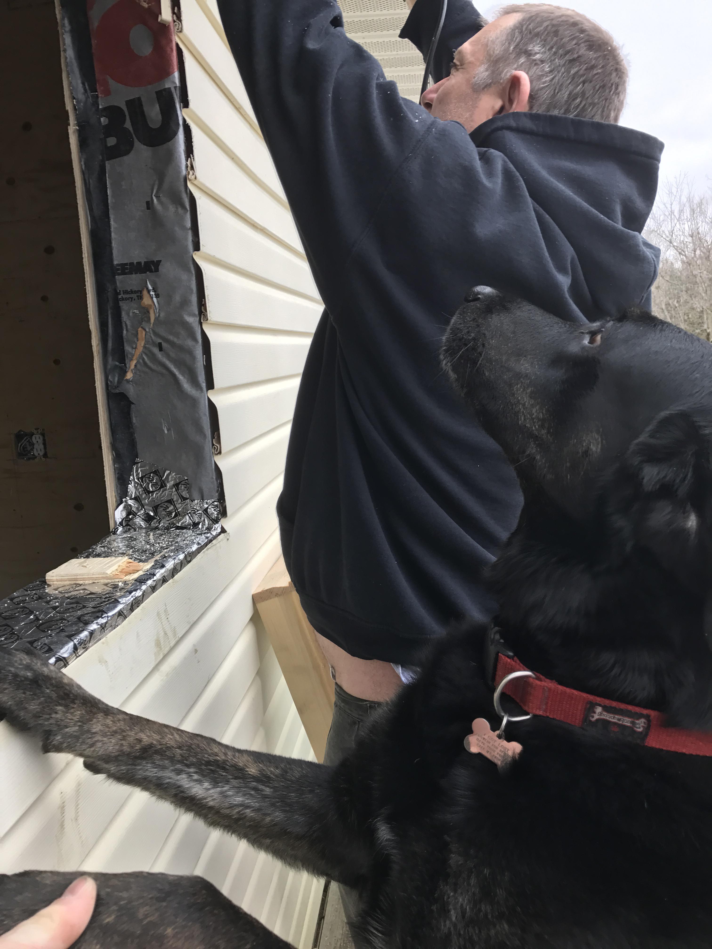 All paws on deck | Scrolller