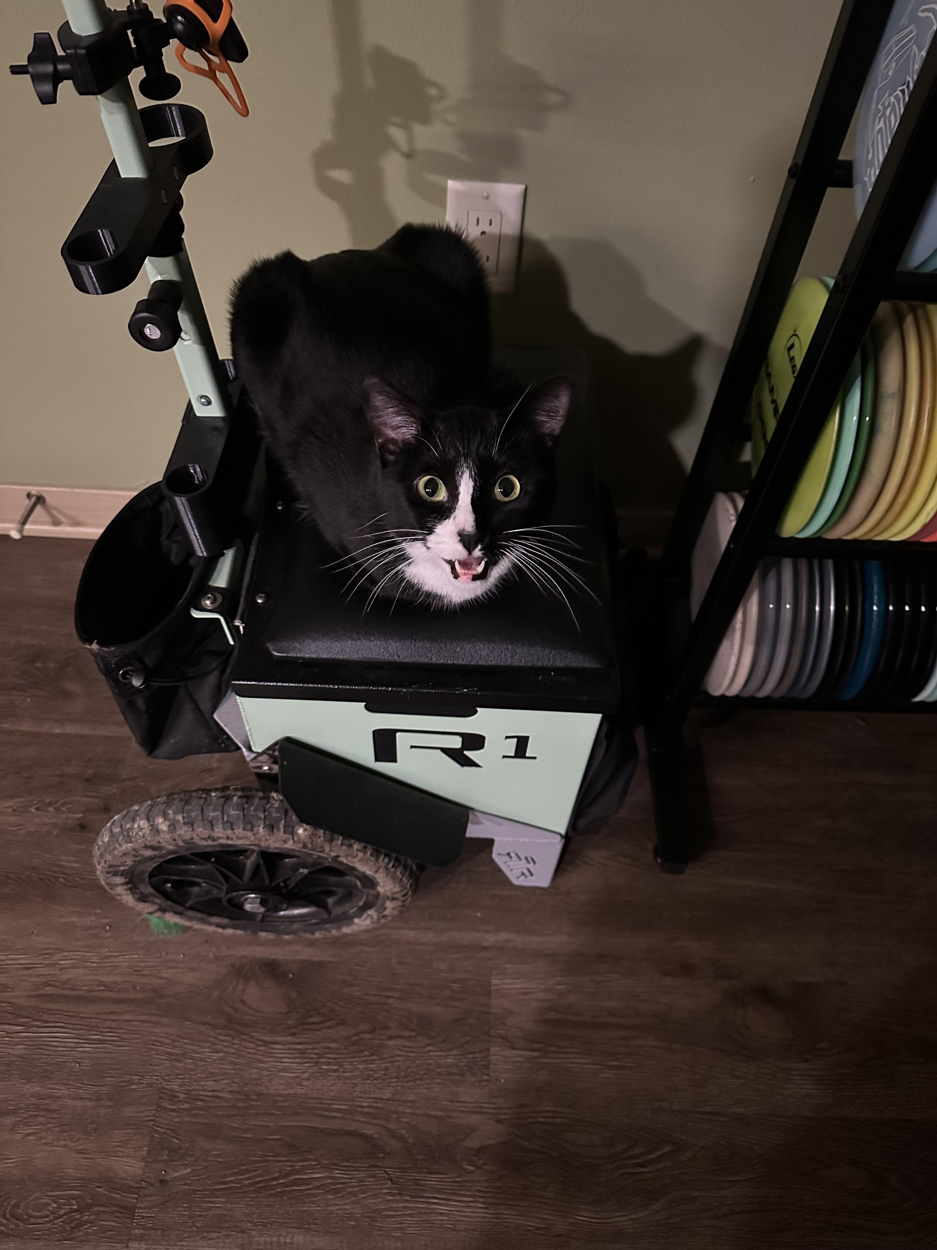 “Spicy” Pete | Scrolller