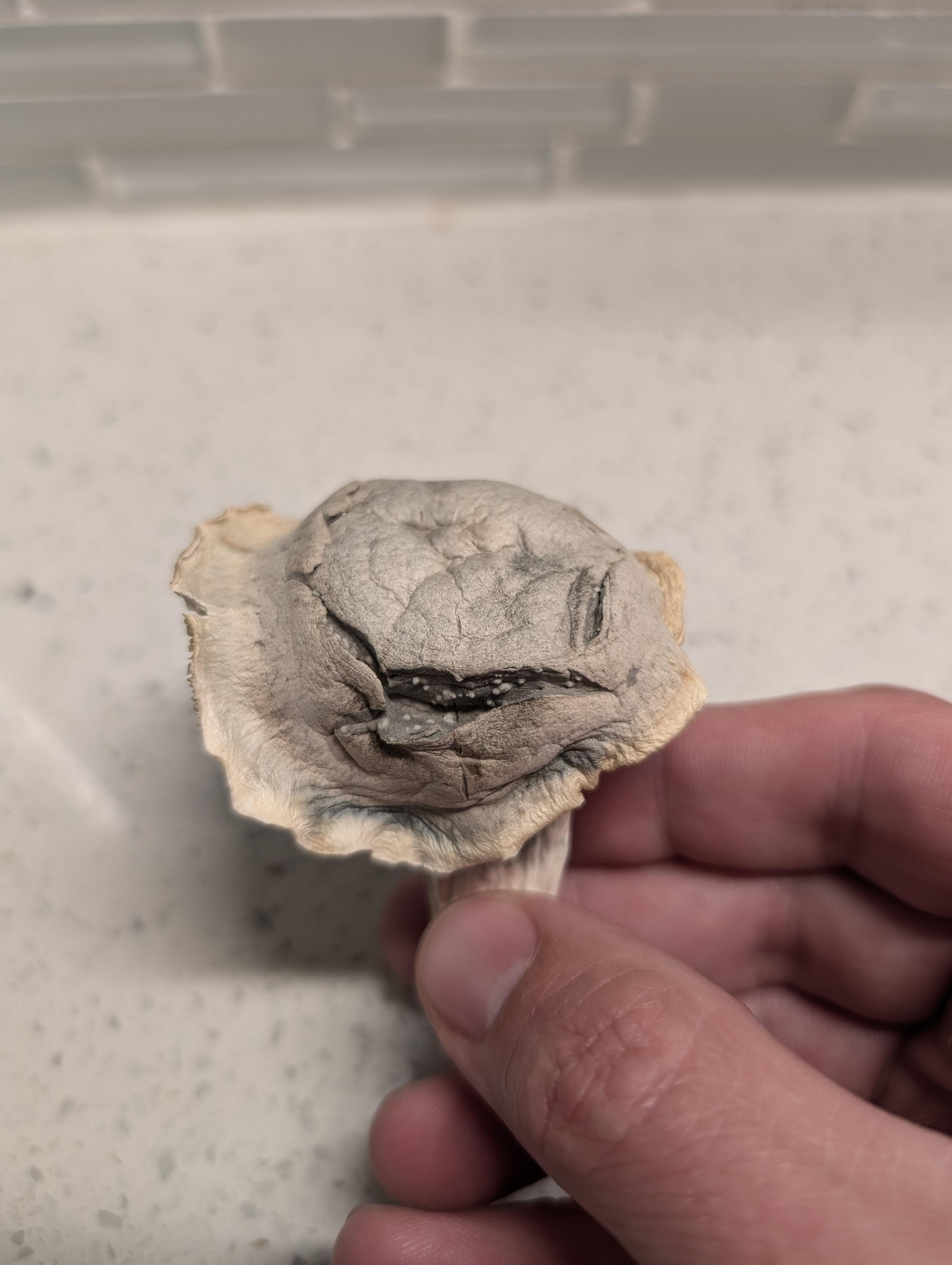 Does this look weird? | Scrolller