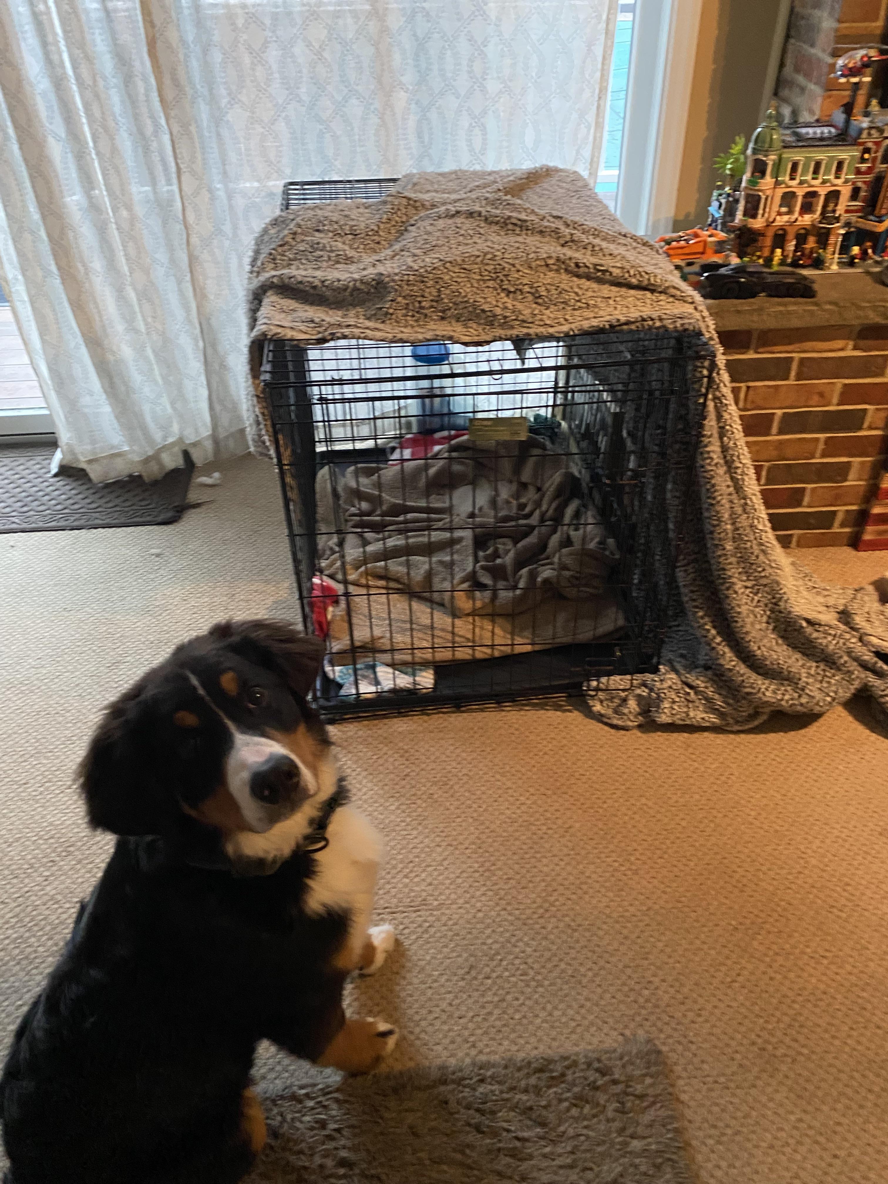 Murphys crate sign | Scrolller