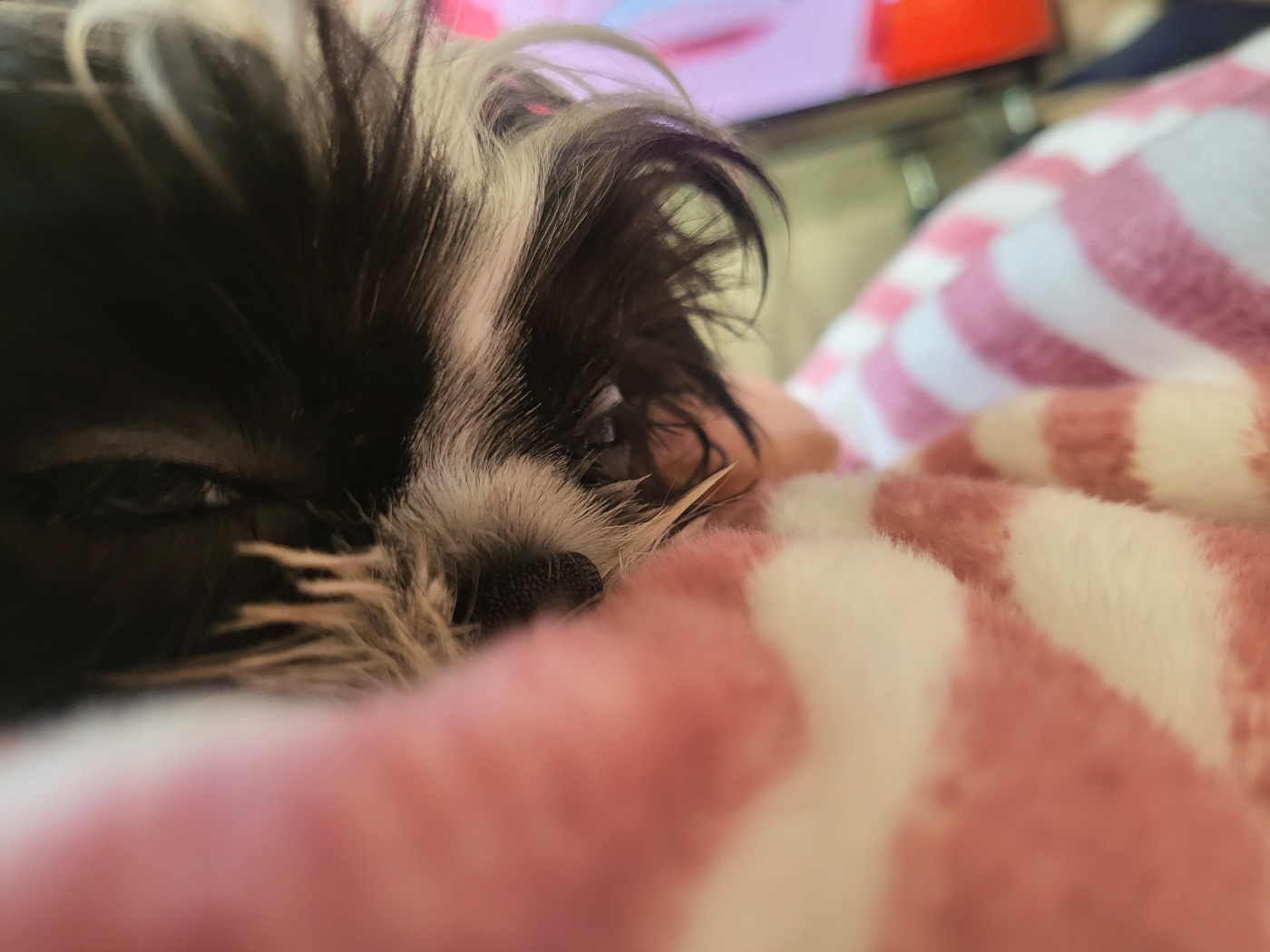 She's sleepy | Scrolller