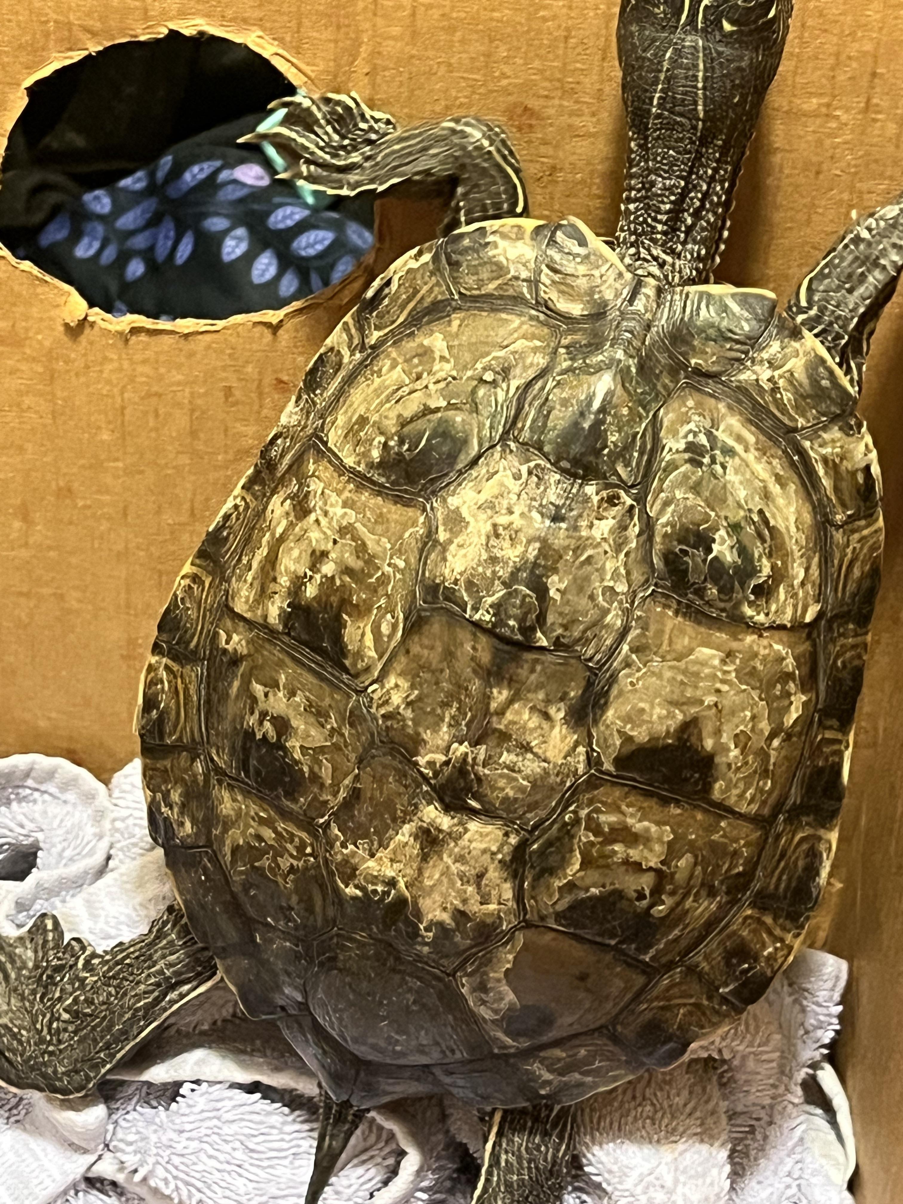 Help- Utterly Clueless! | Scrolller