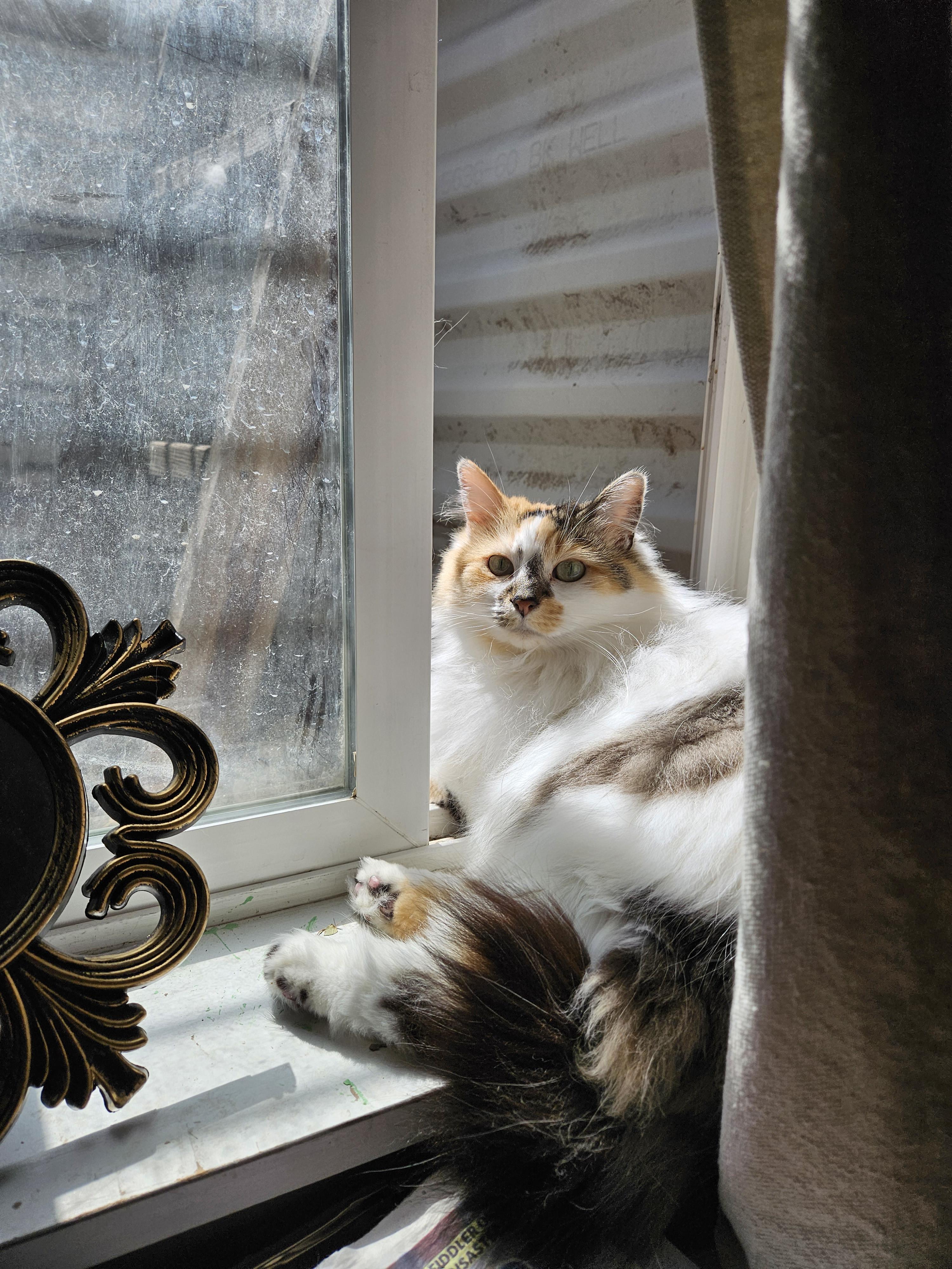 Peaches 💕 | Scrolller