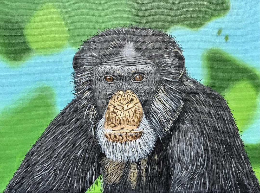 Chimpanzee, Me, Acrylics, 2022 | Scrolller