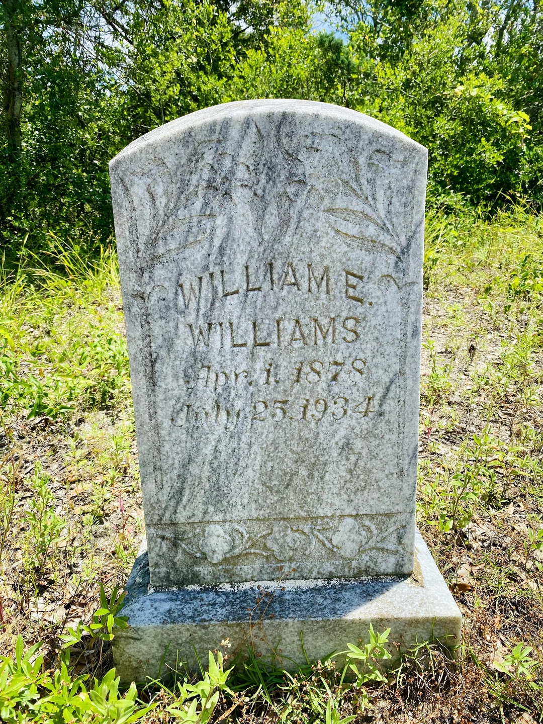 William Williams | Scrolller
