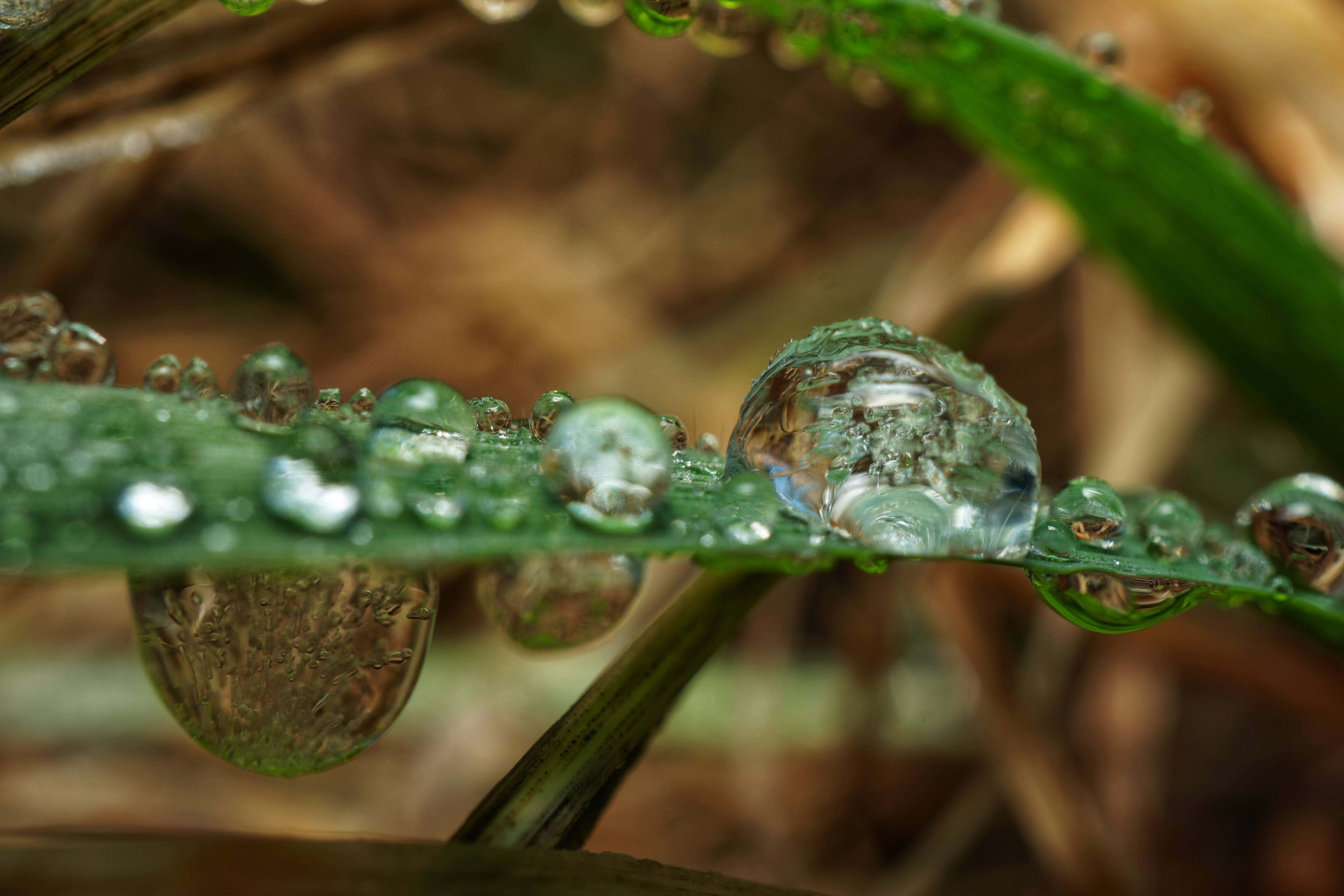 Frozen Bubbles | Scrolller