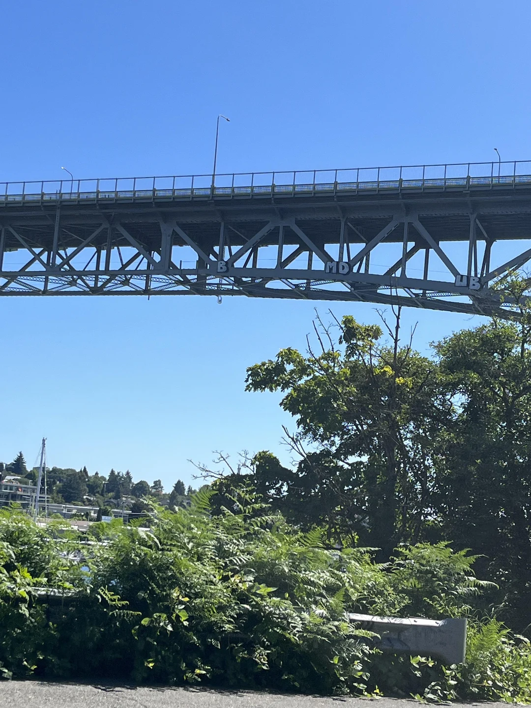 Absolutely insane. Seattle. | Scrolller