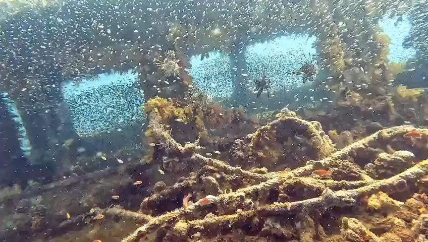 Diving the Red Sea Excalibur wreck in March, Hurghada Egypt | Scrolller
