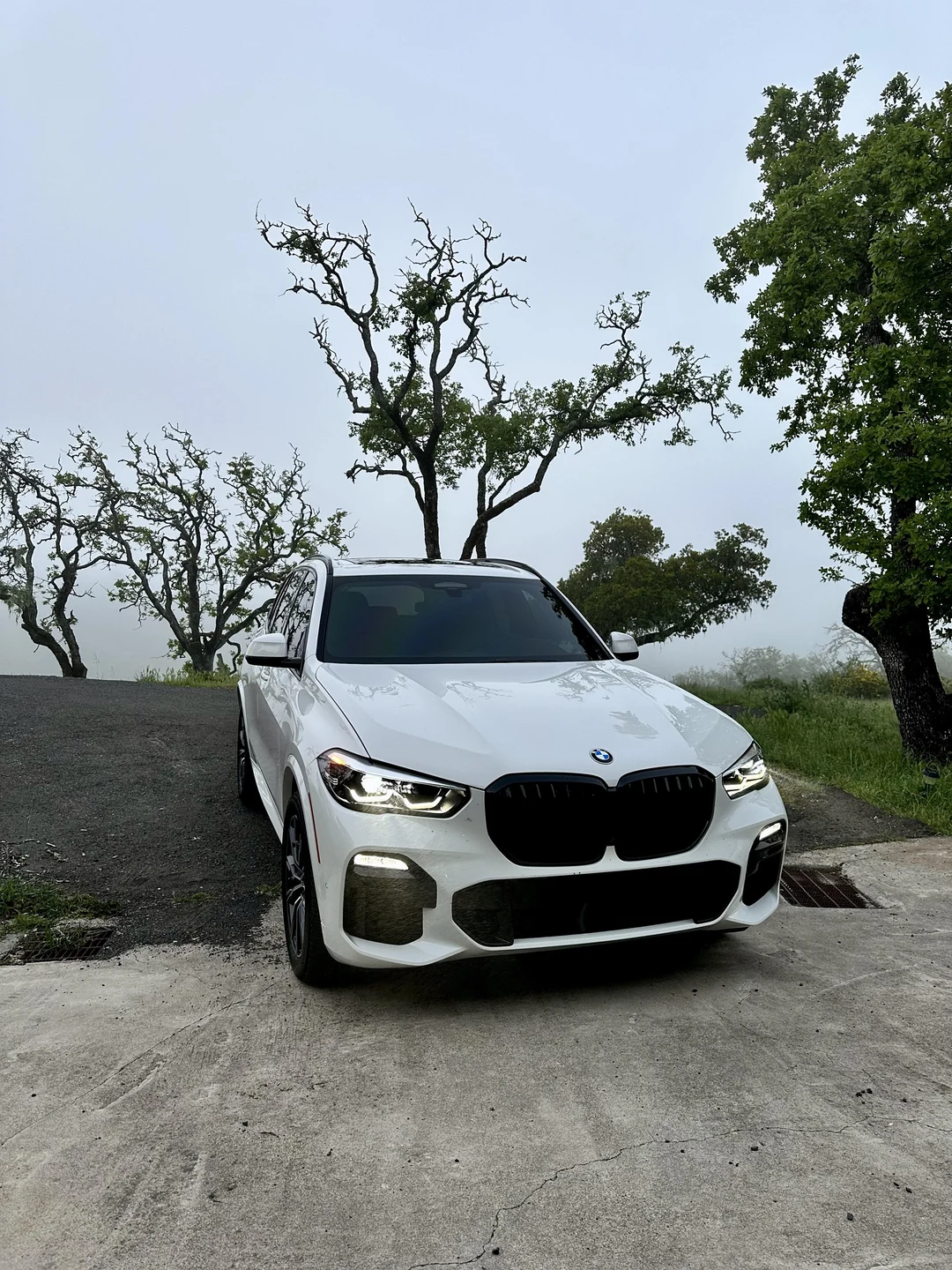 Fog lights look good | Scrolller