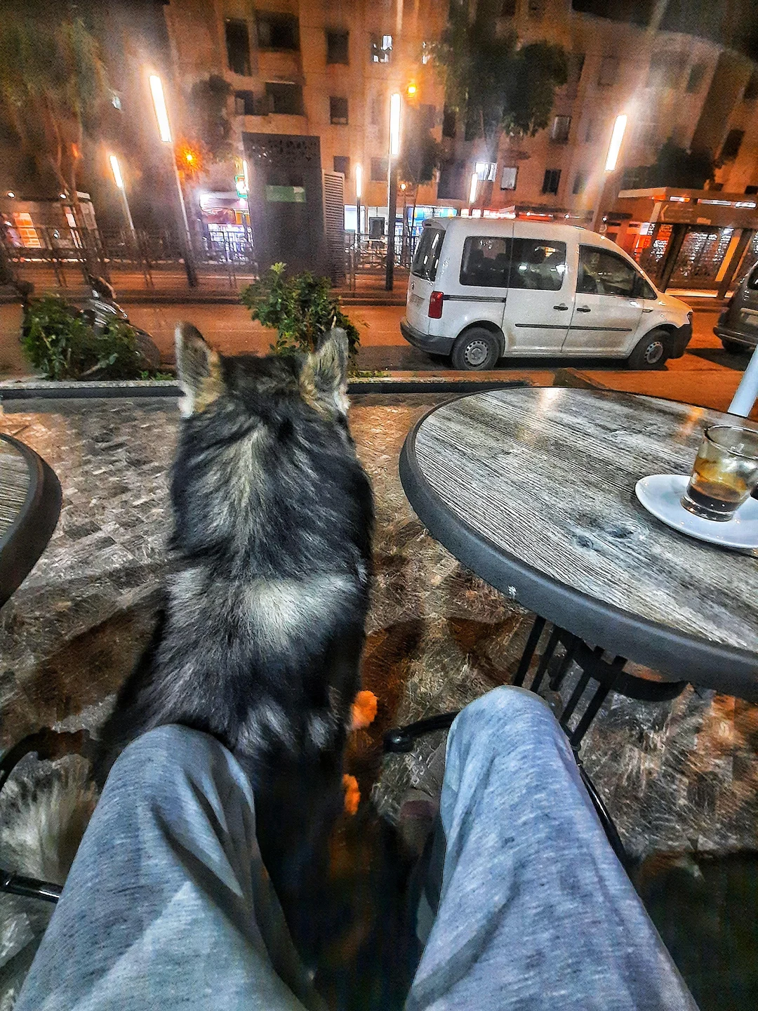 Acting like a good boy in public (little do they know) | Scrolller