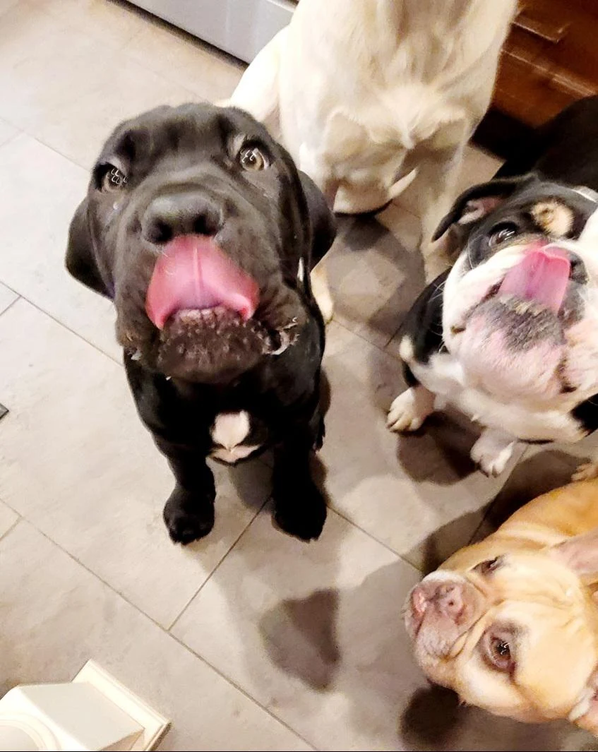 Our group of derps | Scrolller