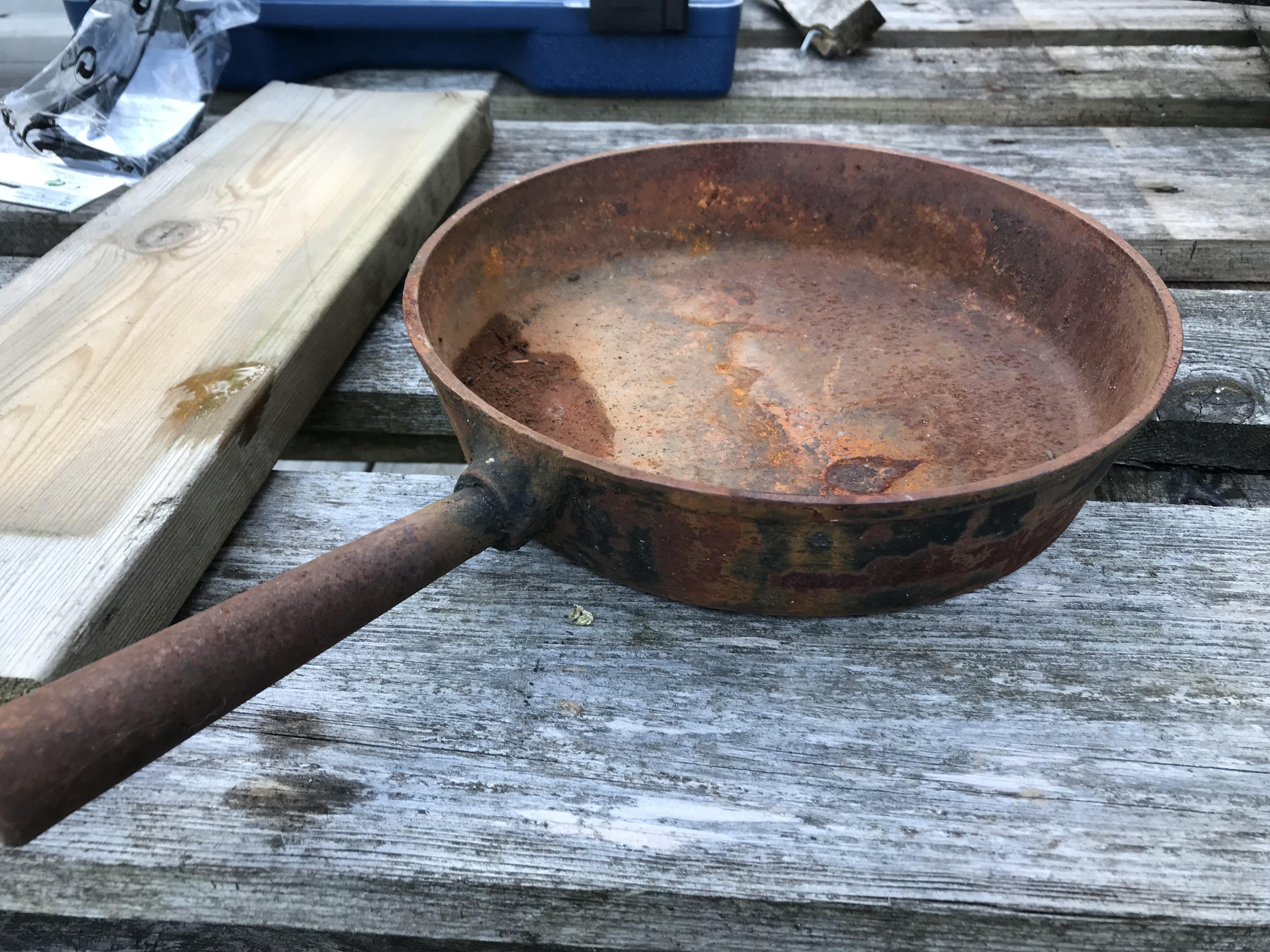 Identification? | Scrolller