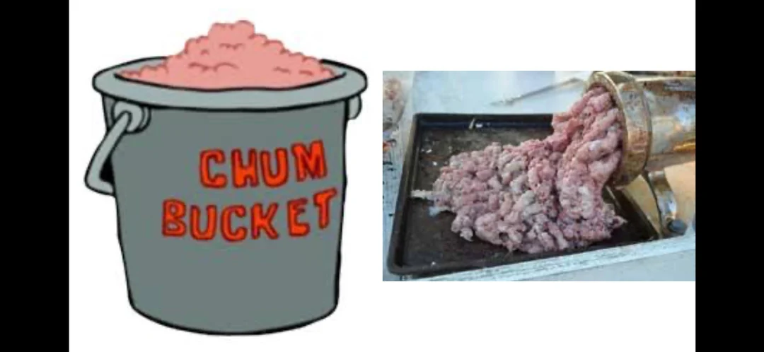 Chum Bucket In Real Life!😂 | Scrolller