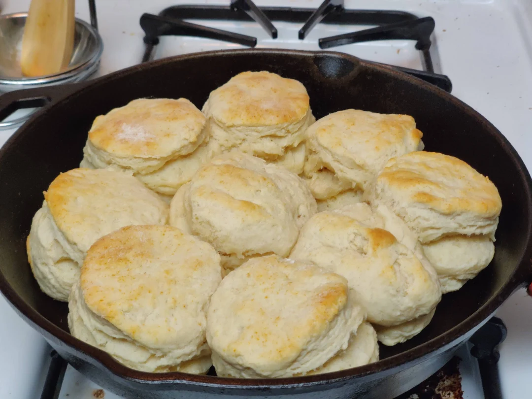 My Lodge 10" workhorse | Scrolller