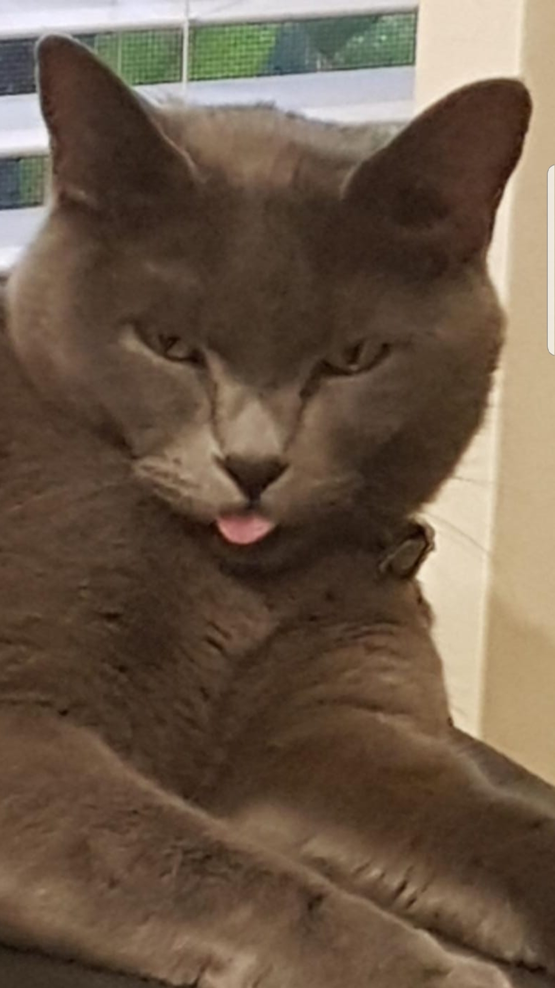 Perfectly timed photo I reckon | Scrolller