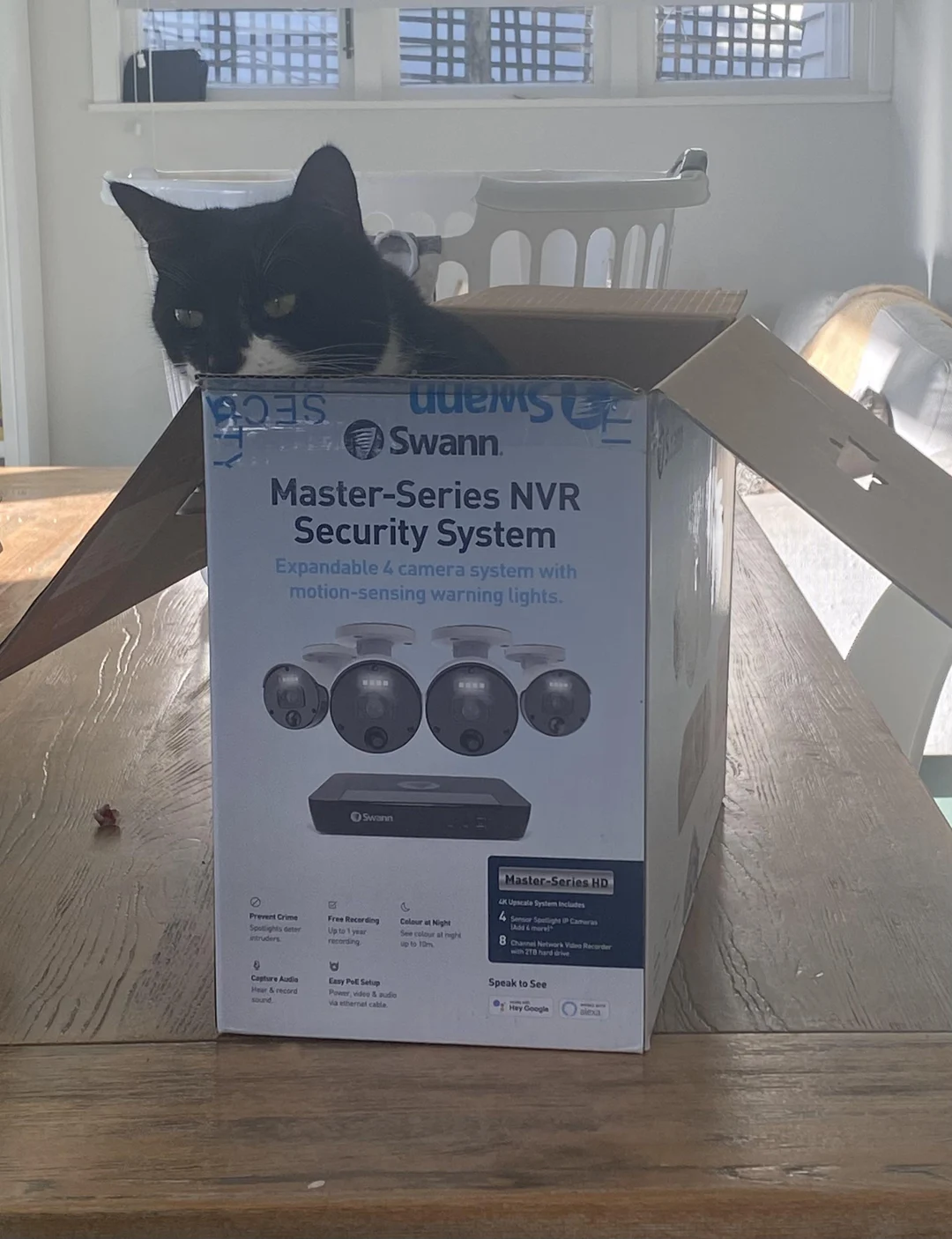 Upgraded my security system today | Scrolller