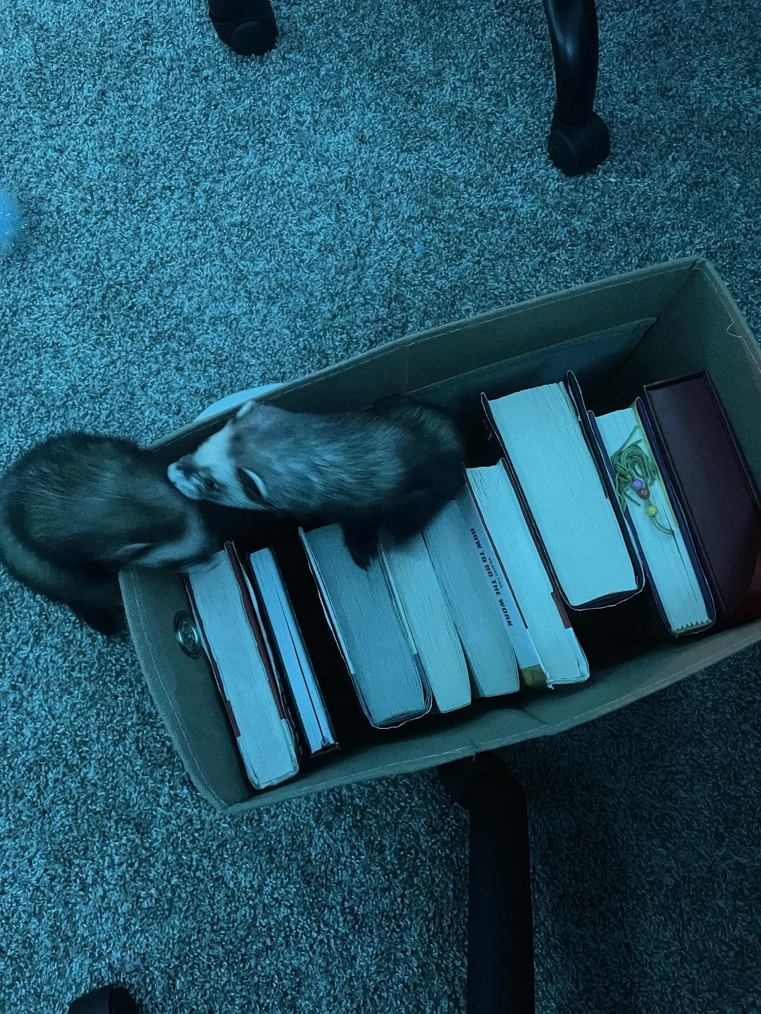 My children love to learn | Scrolller