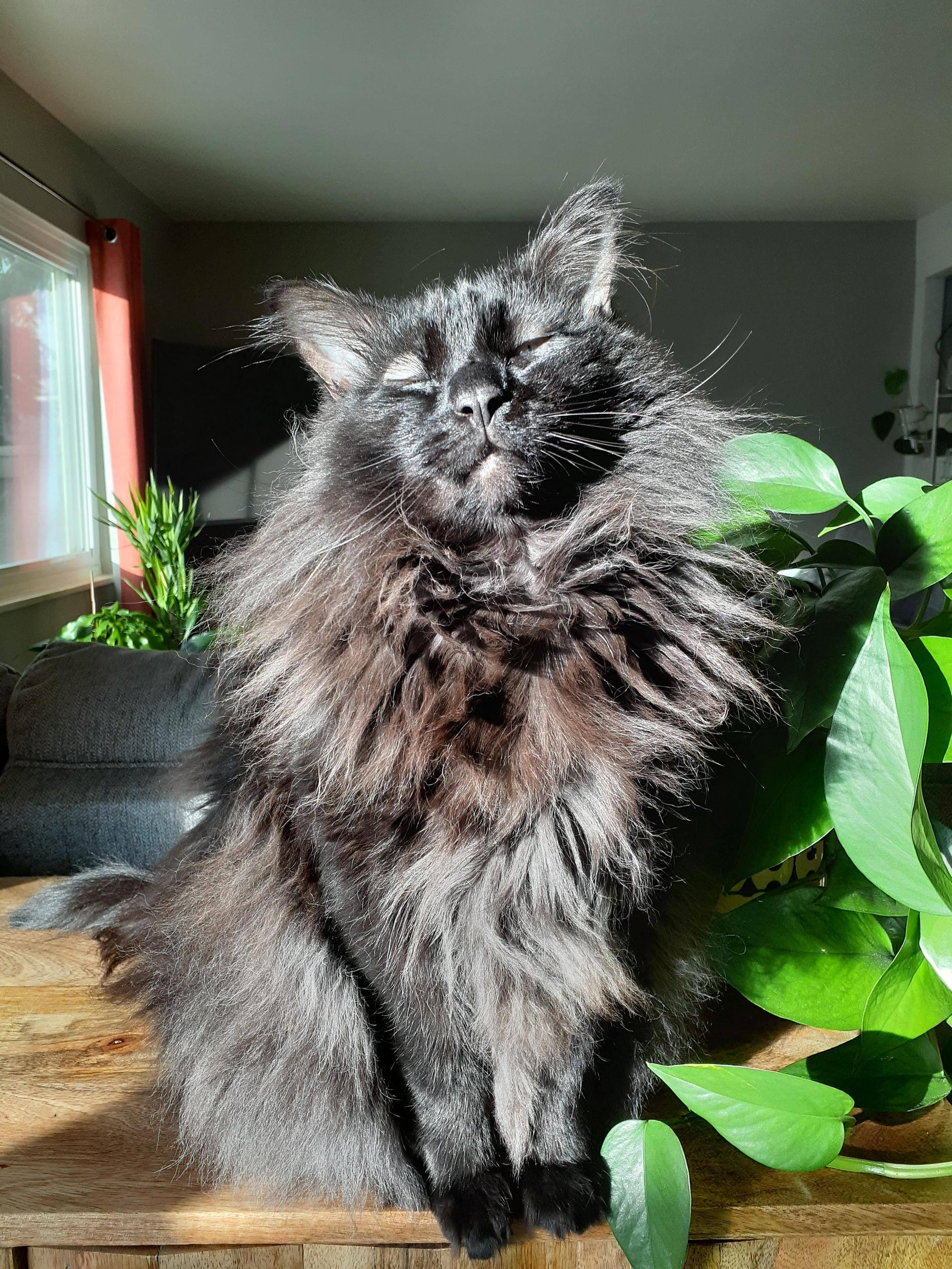 Basking in the sunlight | Scrolller