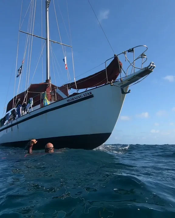 AMAZING week with Blackbeards | Scrolller