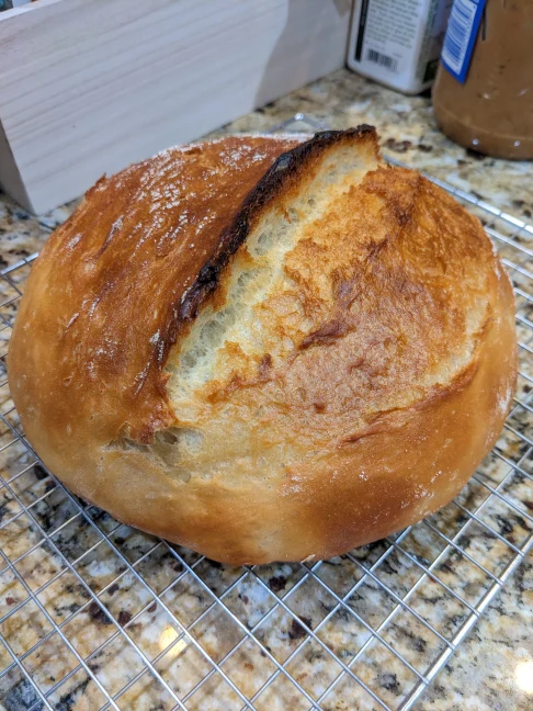 How do I prevent the ear from burning like this? | Scrolller