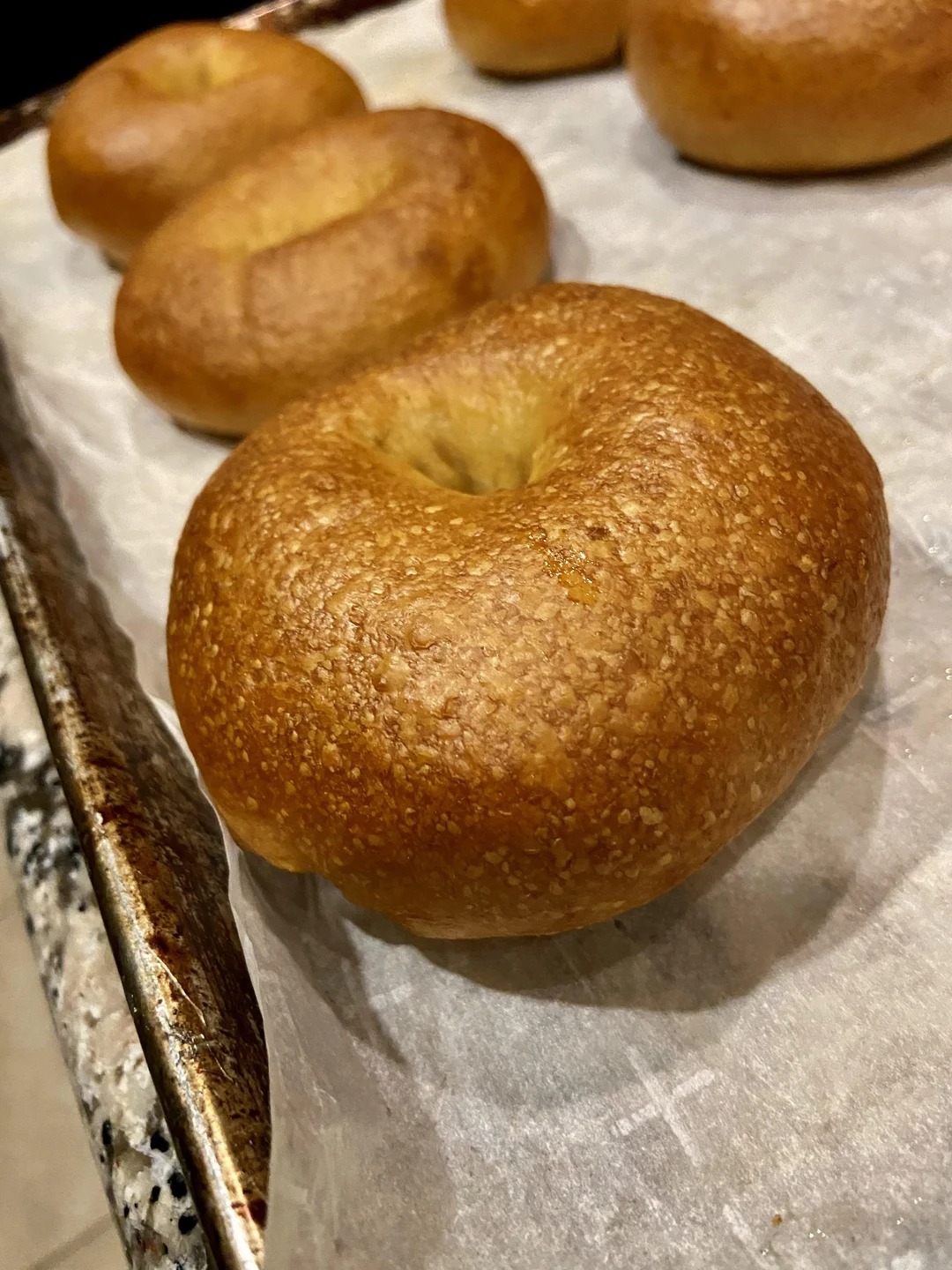 How Do My Second Batch of Bagels Ever Look? | Scrolller