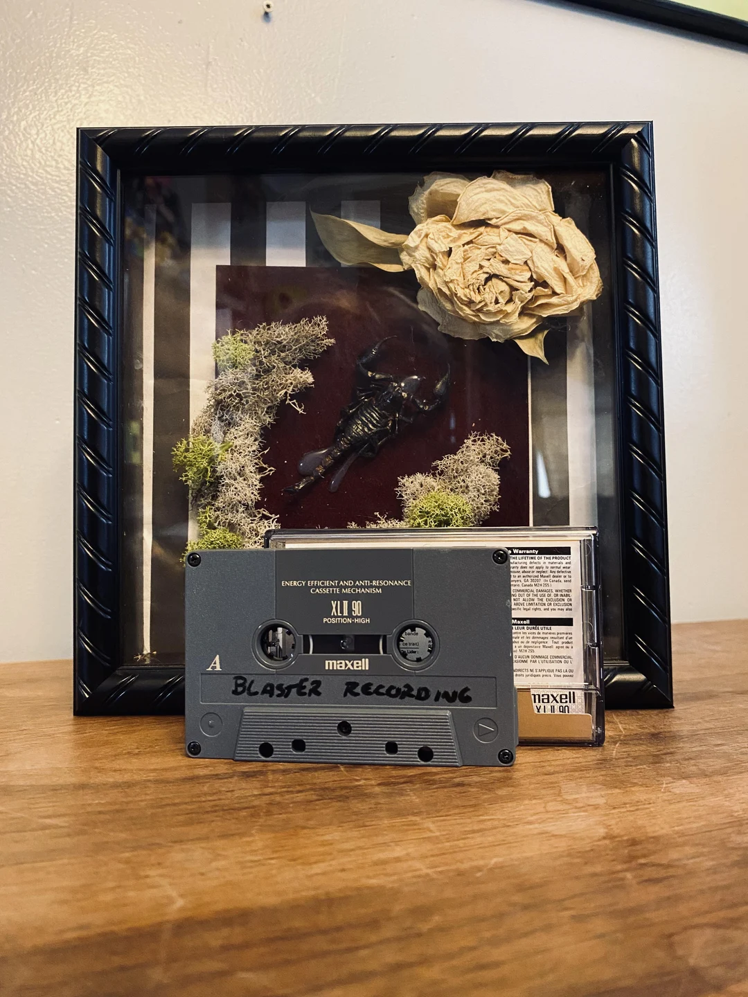 BLASTER EP | Scrolller