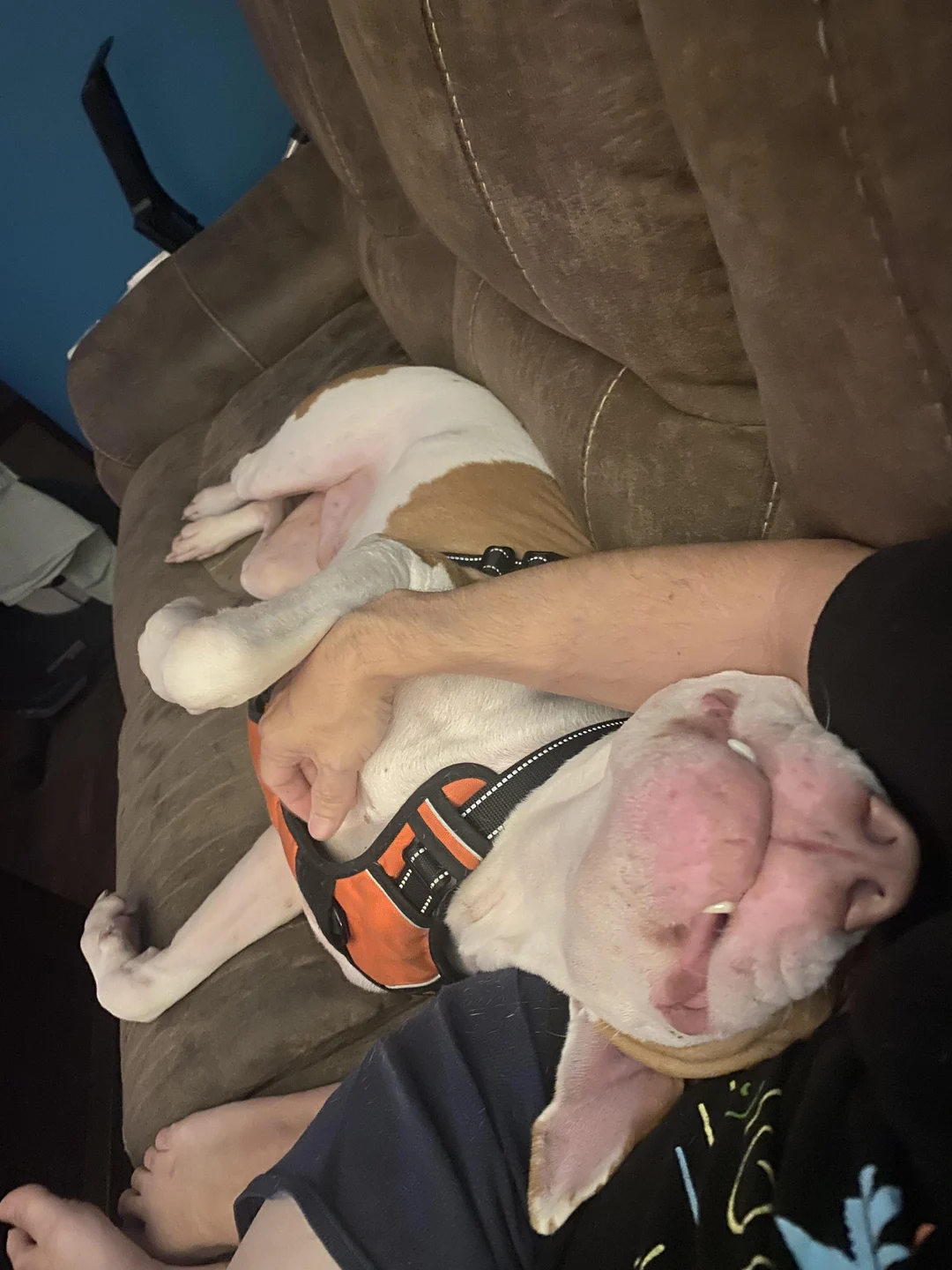 Haven’t Posted This Derp Lately | Scrolller