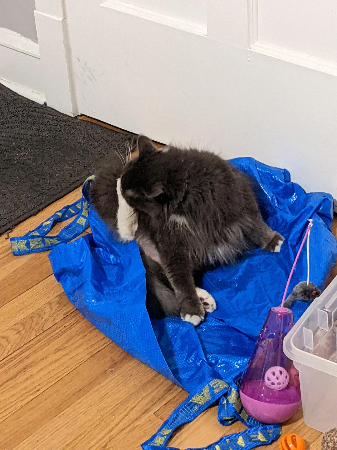 IKEA trap is working | Scrolller