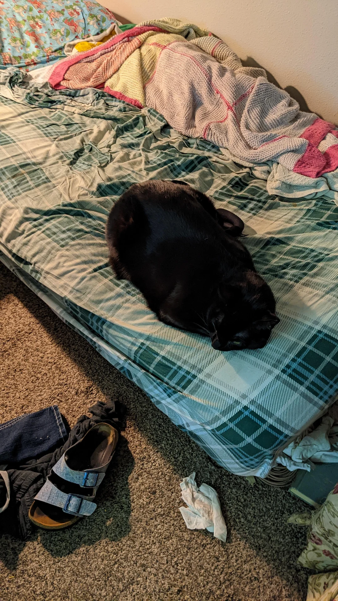 A loaf of void | Scrolller