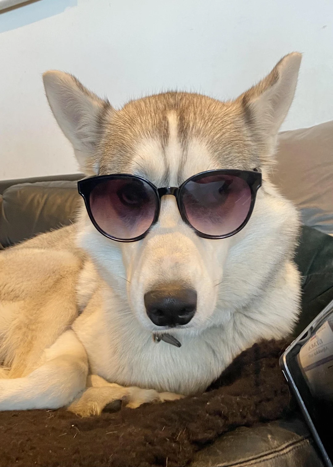 Future’s so bright | Scrolller