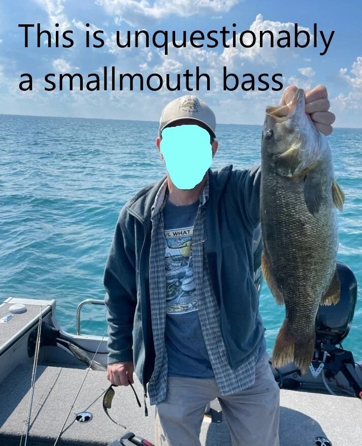 Not sure about this fish, help identifying Caught in Lake St Claire, MI (Why is this a trend ...