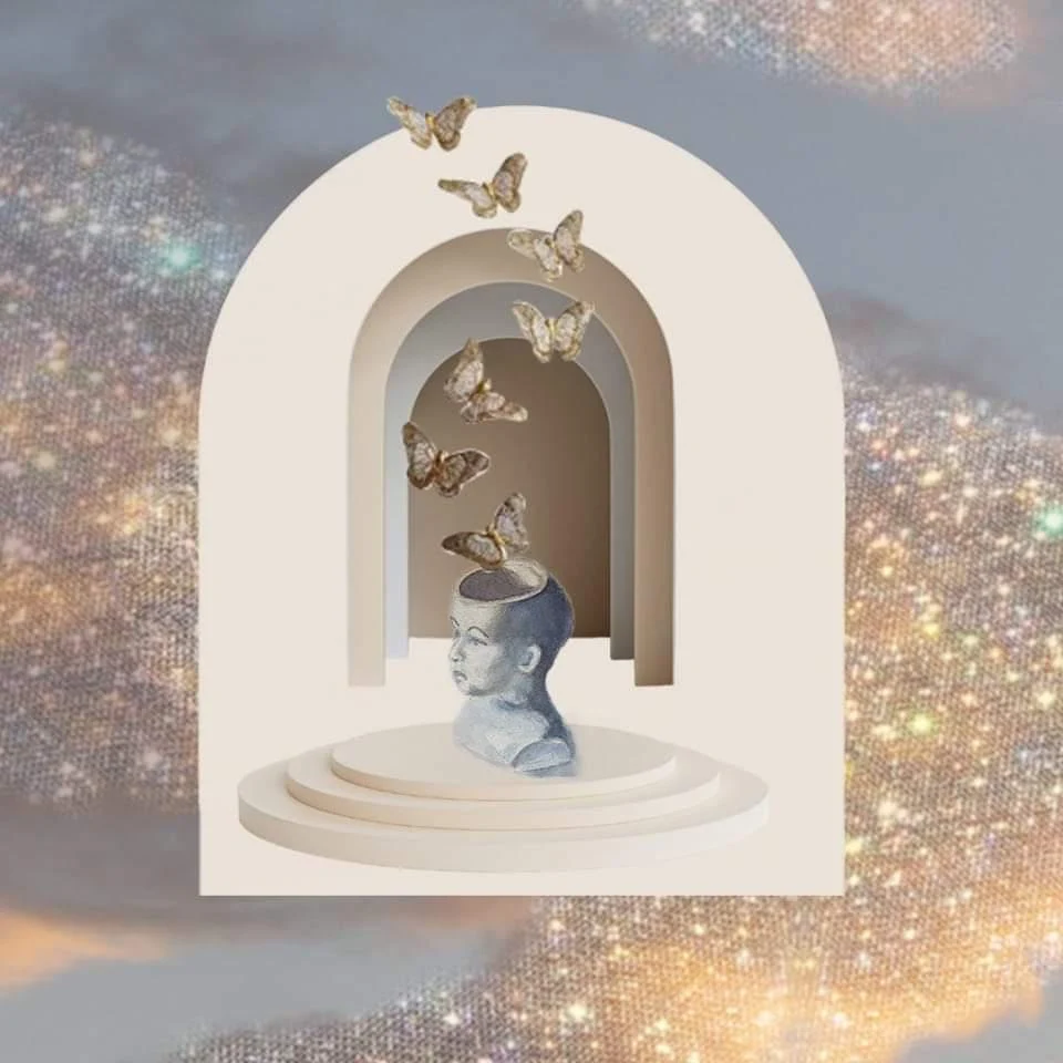 butterflies | Scrolller