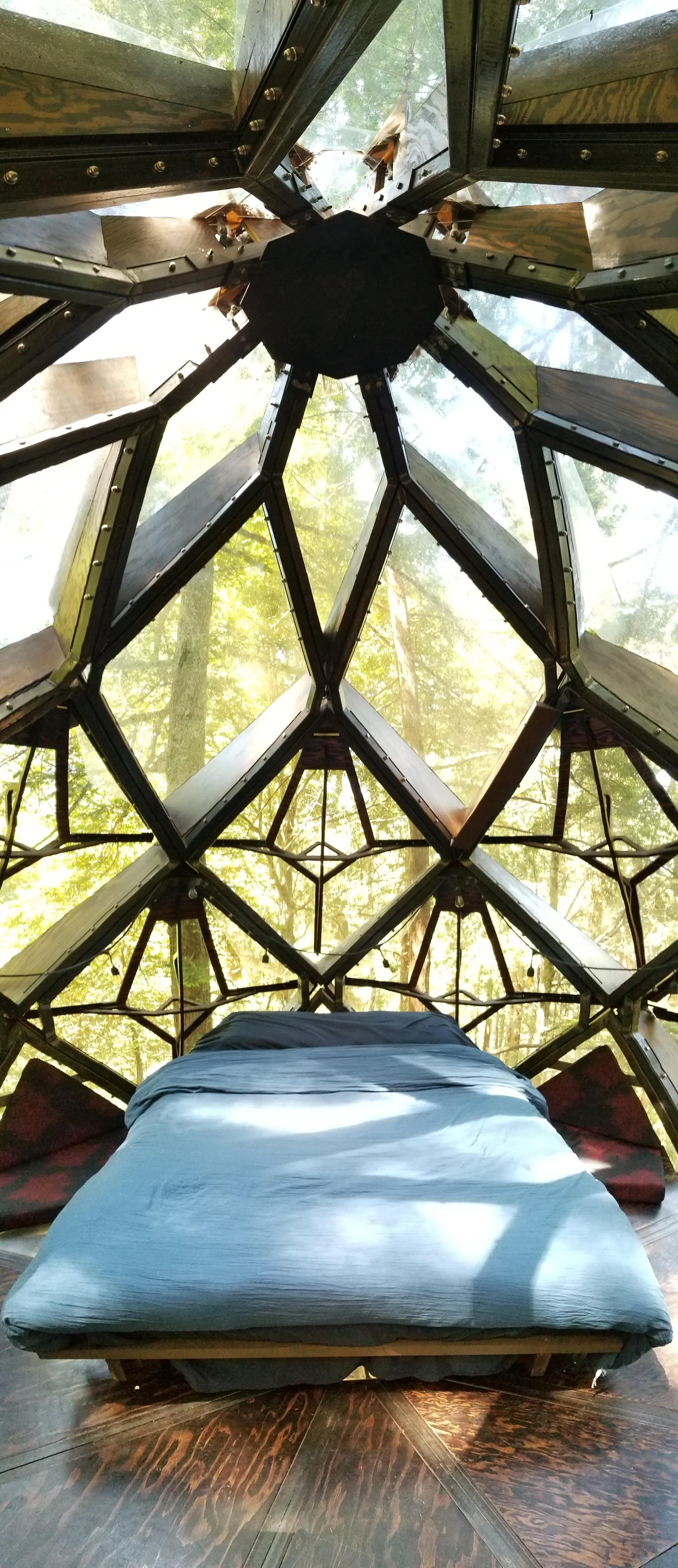 The Pinecone Treehouse in California, USA [3840x8880] | Scrolller