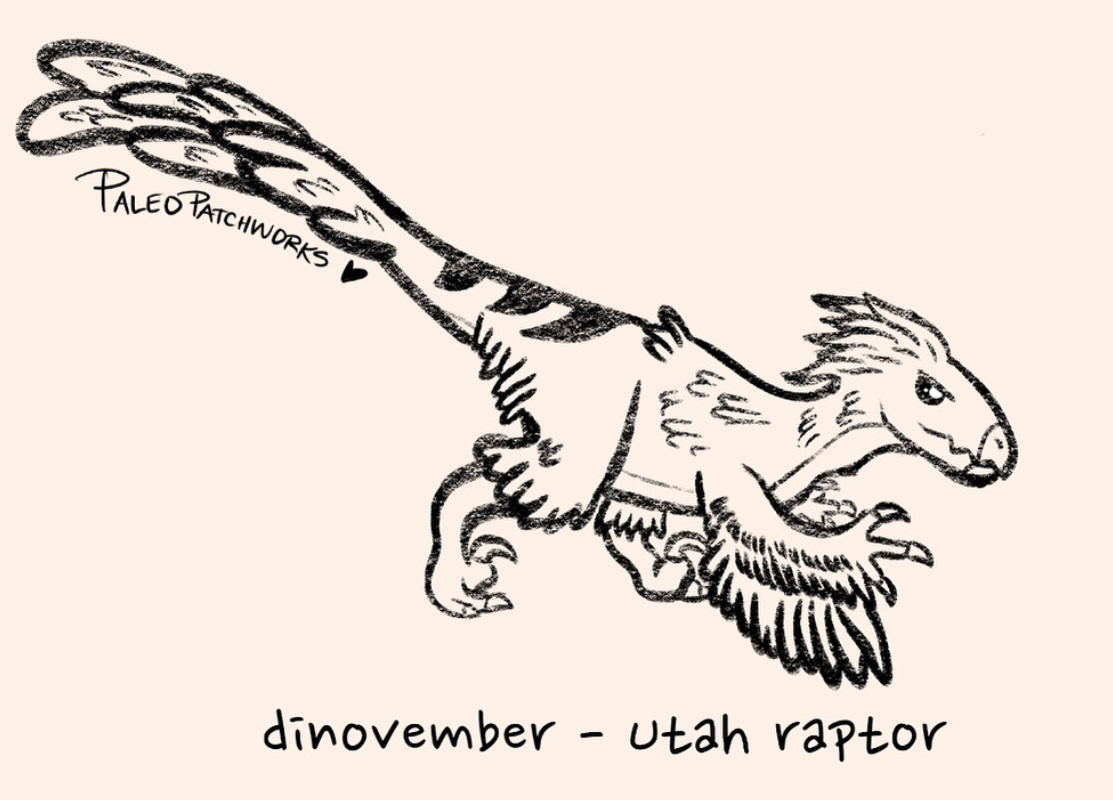 utah raptor | Scrolller