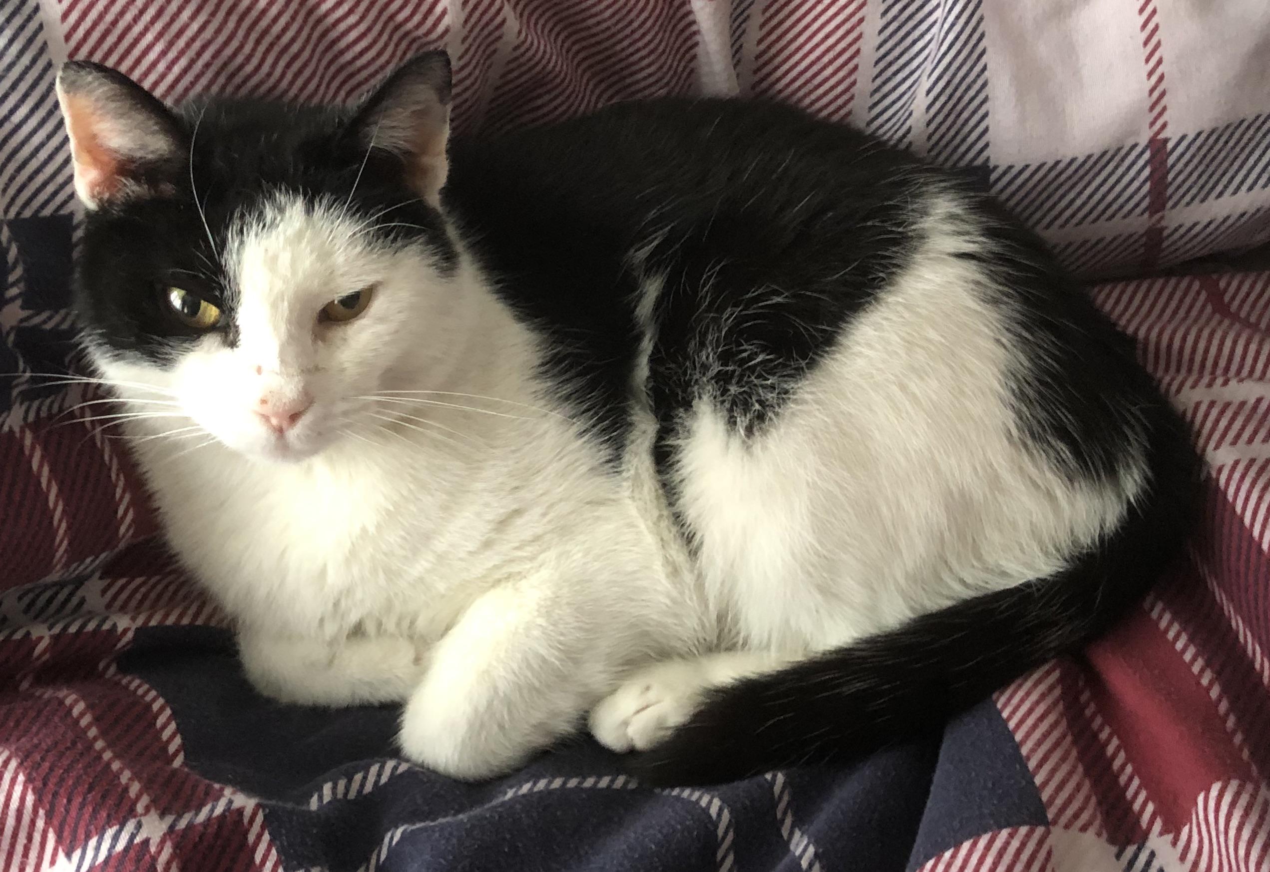 Look at this distinguished gentlemen. | Scrolller