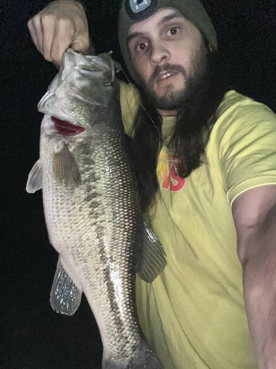 Local tailwater bass | Scrolller