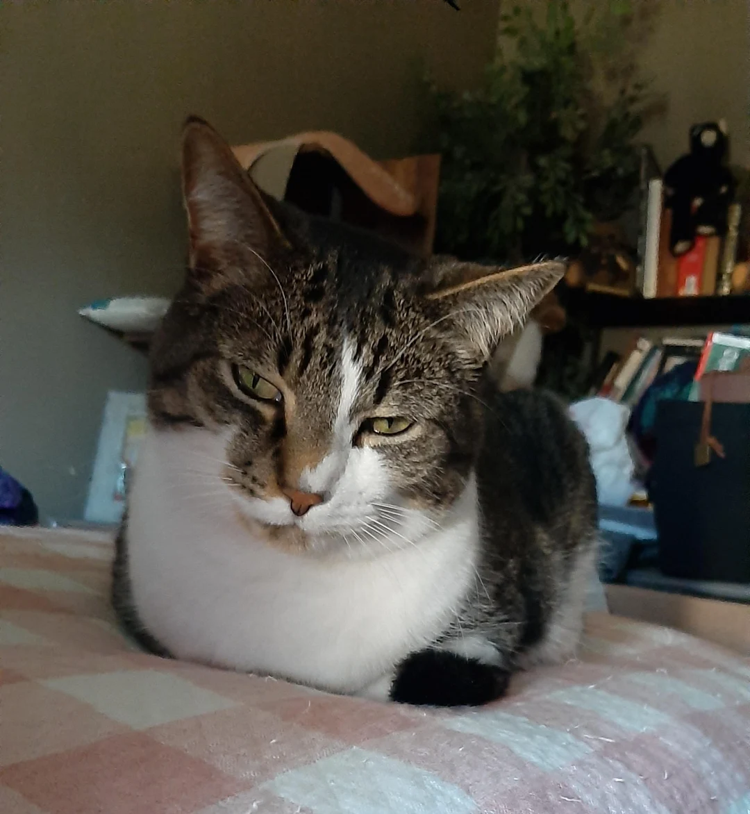 why so serious | Scrolller