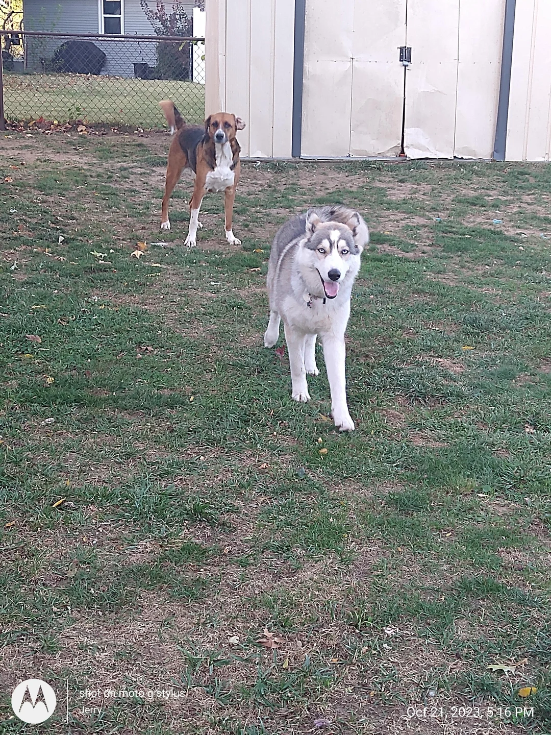 Lily and fred | Scrolller