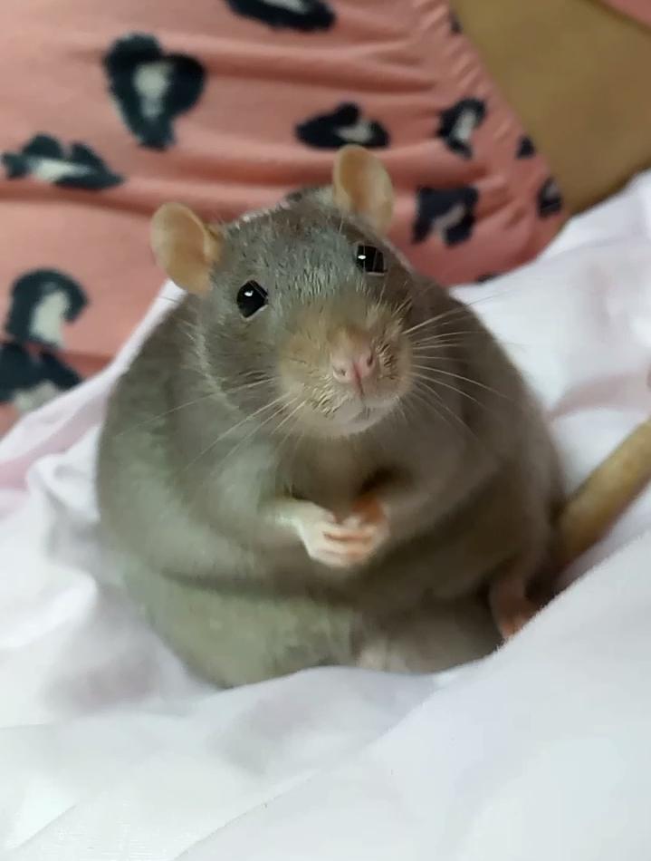 "How does that make you feel?" | Scrolller