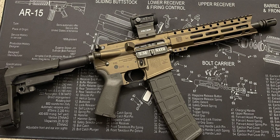 Diamondback ar15 pistol with holosun green dot😎 | Scrolller