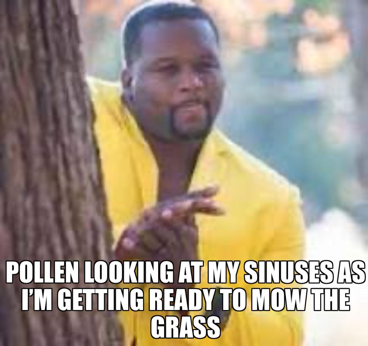 Pollen overload. | Scrolller