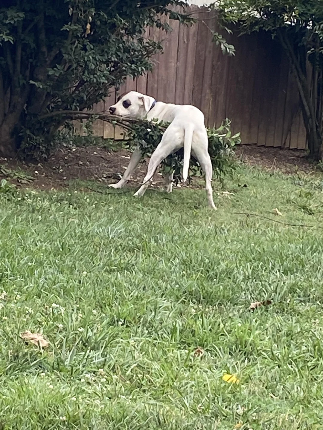 When my weirdo was younger | Scrolller