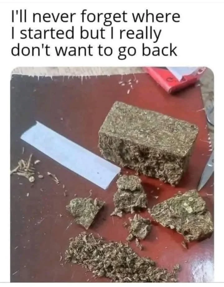 brick by brick weed🥴 | Scrolller
