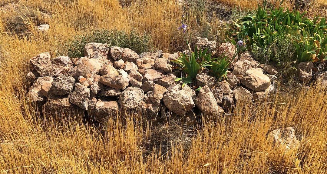 Abandoned grave . | Scrolller